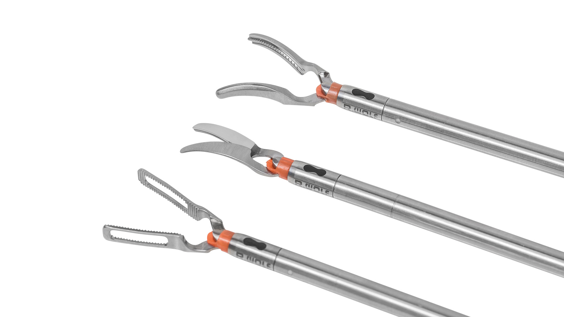 ERAGON - ΠΑΠΑΠΟΣΤΟΛΟΥ